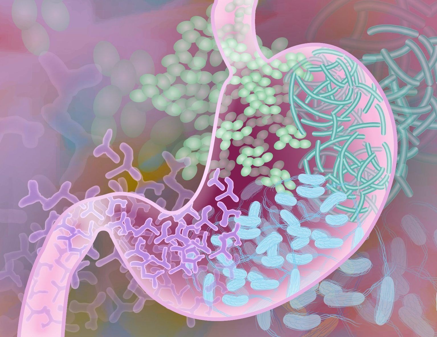 Microbiota Intestinal – Clínica Clinte Itajaí/SC